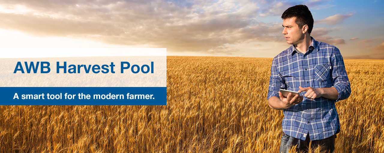 AWB Harvest Pool | AWB